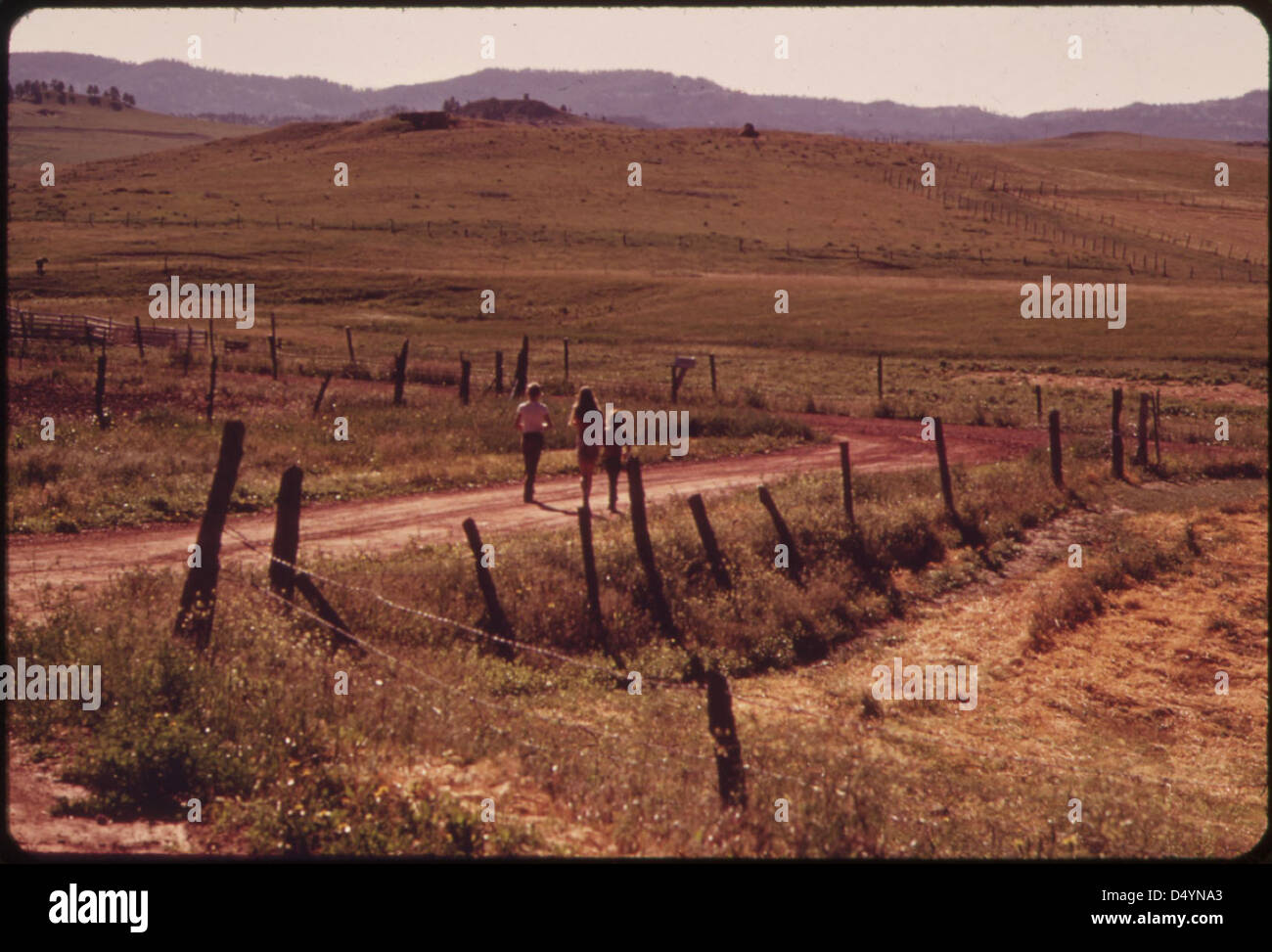 A photograph from June 1973 showing the Bud Redding ranch located in ...