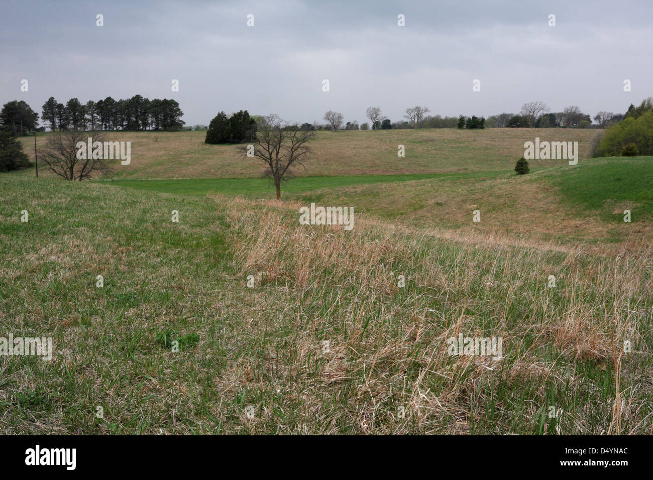 Rolling hills with grasslands hi-res stock photography and images - Alamy