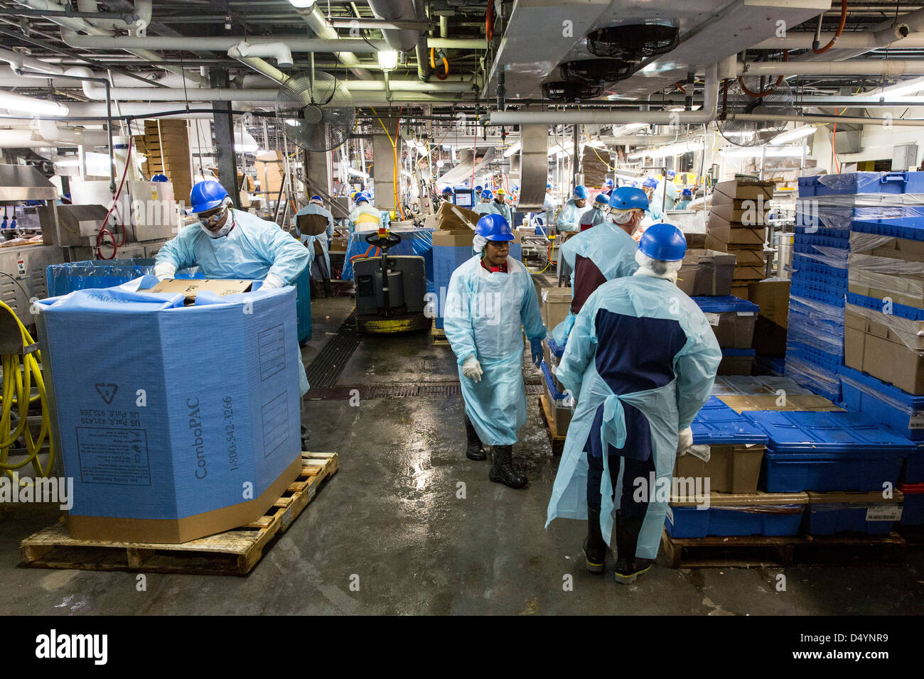 Poultry Workers High Resolution Stock Photography and Images - Alamy