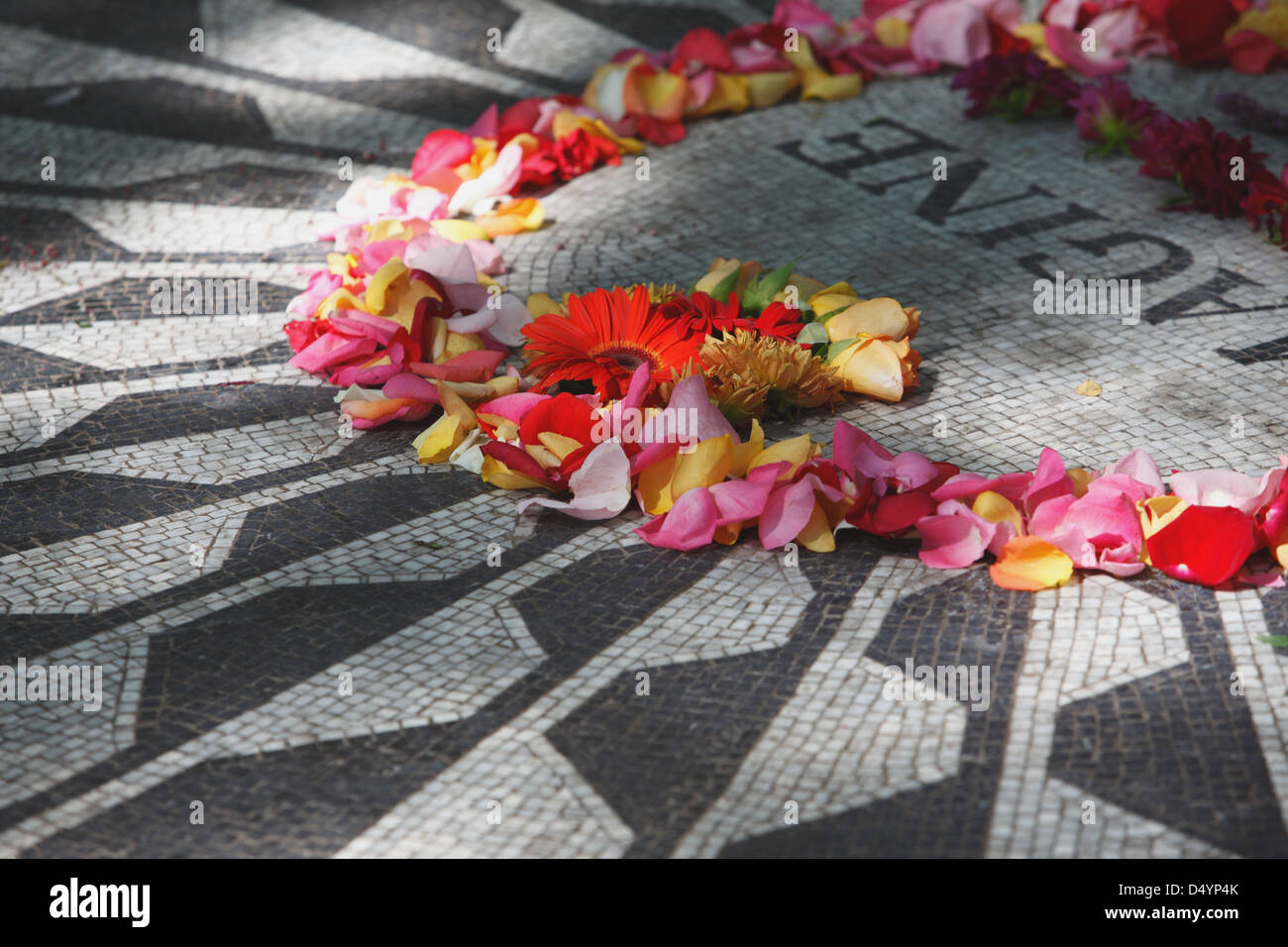Flowers in Central Park, New York, USA Stock Photo - Alamy
