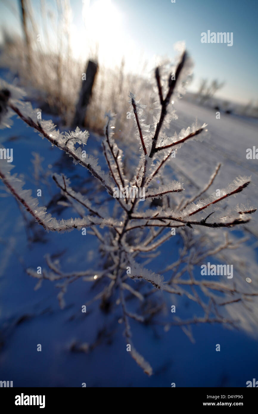 Sparkly frost hi-res stock photography and images - Alamy