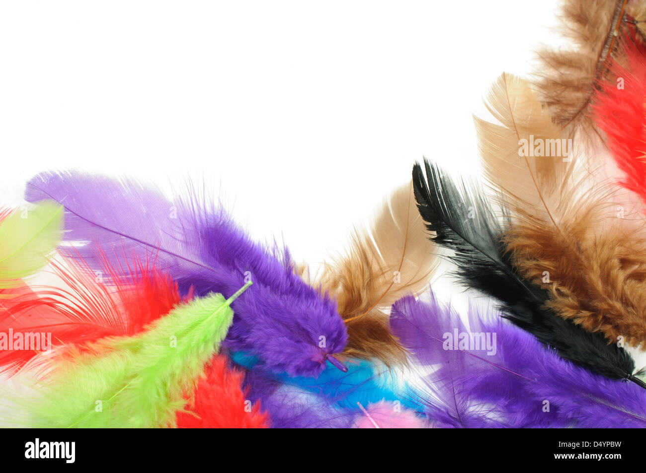 Colorful feathers border Stock Photo - Alamy