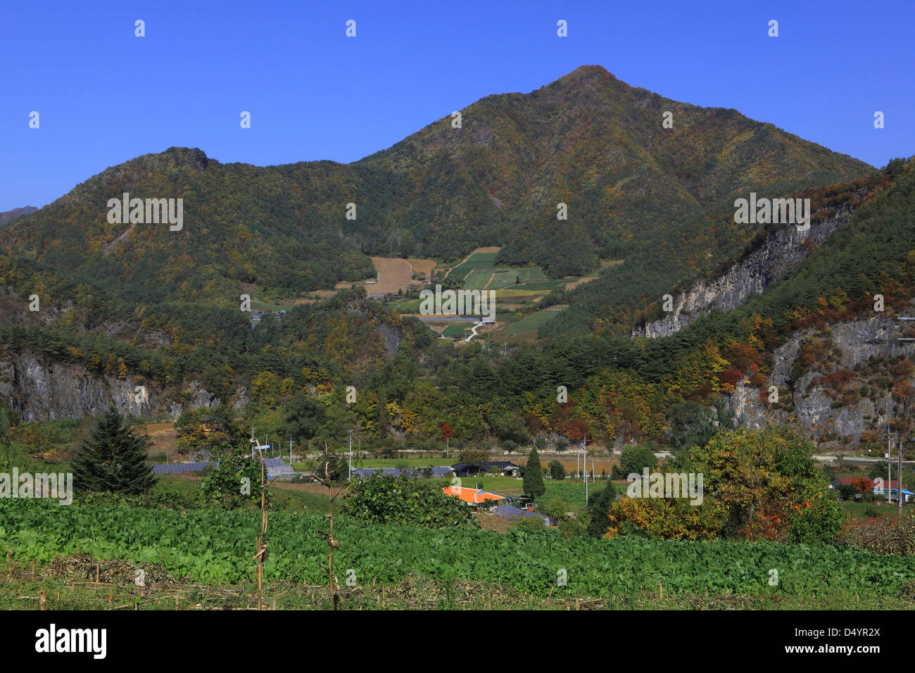 Hoengseong gun hi-res stock photography and images - Alamy