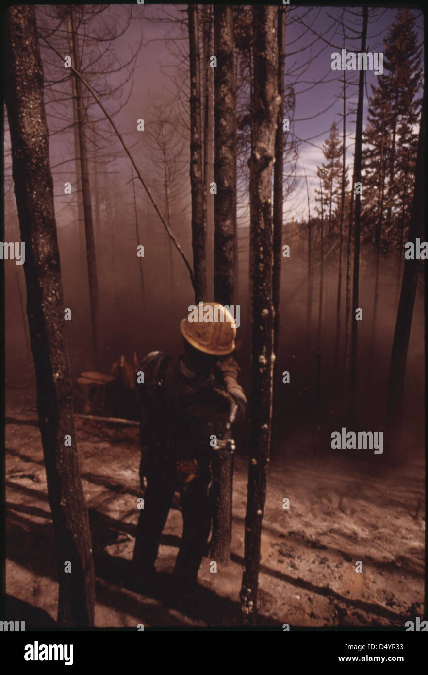 In September 1973, a post-fire salvage operation shows a 'faller ...