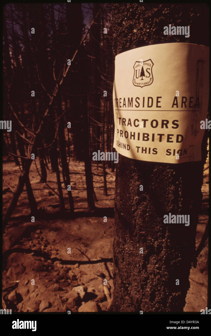 A photograph depicting the 'granite fire' burn area in September 1973 ...