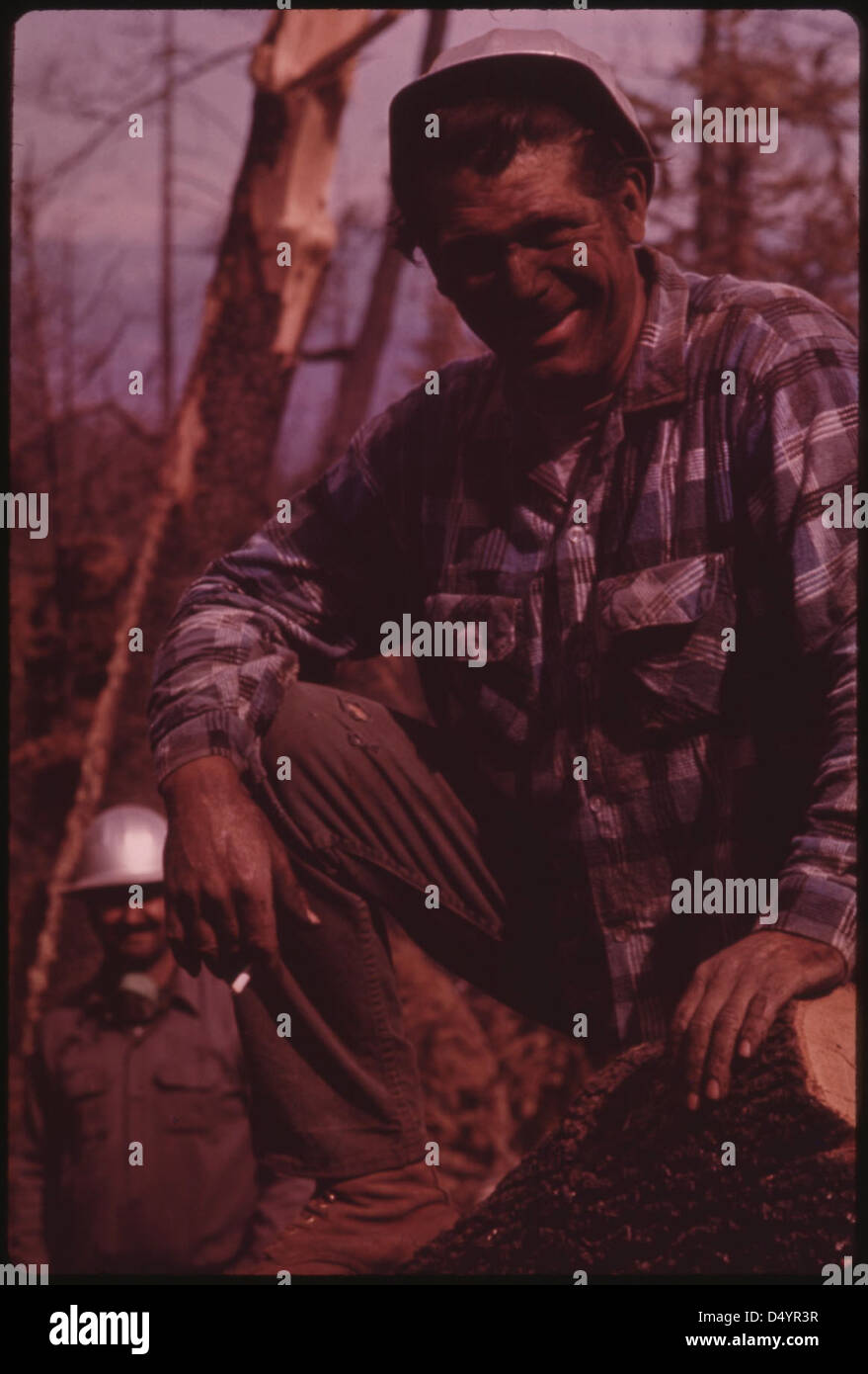 A September 1973 photograph shows a 'cat skinner' at work in the burn ...