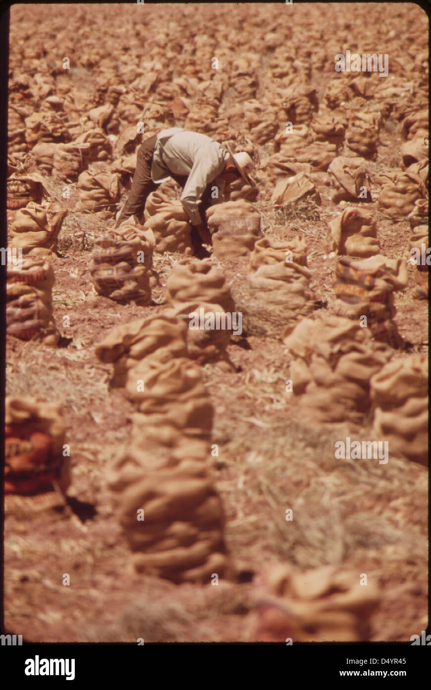 1970s farm worker hi-res stock photography and images - Alamy