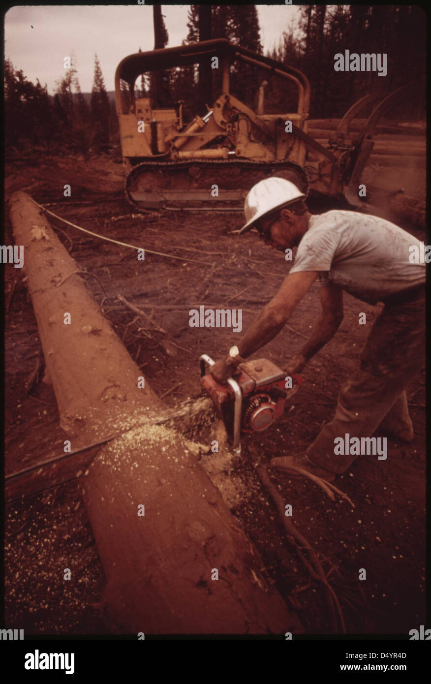 In this September 1973 photograph, a 'cat skinner' operates a ...