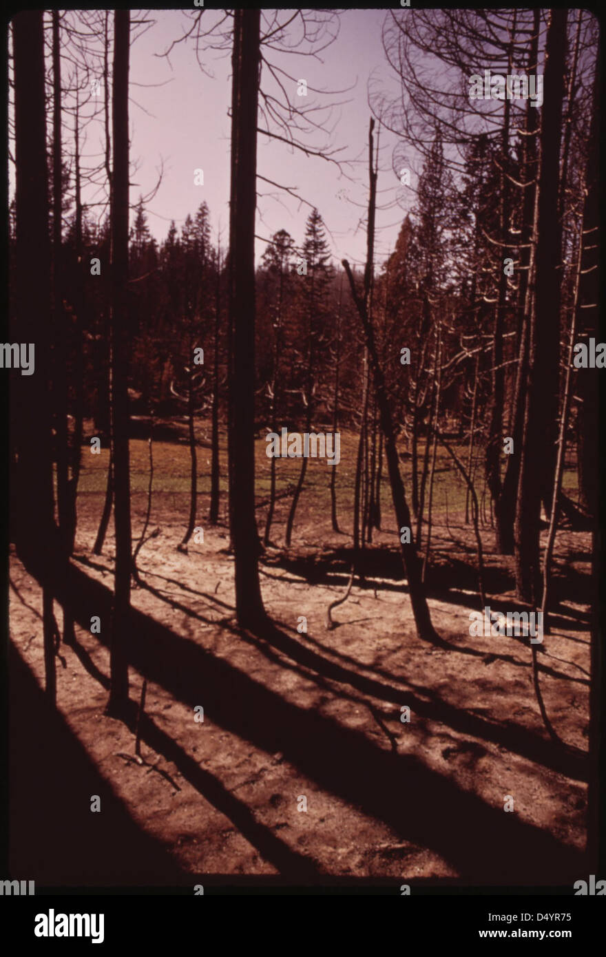 This photo from September 1973 shows the aftermath of a fire in Granite ...