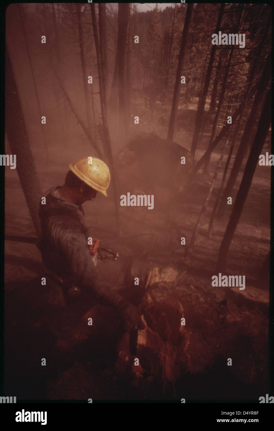 A photograph from September 1973 showing a post-fire salvage operation ...