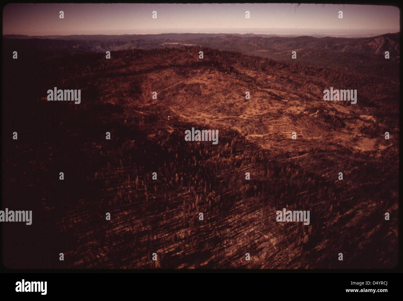 Aerial photograph taken in September 1973 of the 'Granite Fire' burn ...