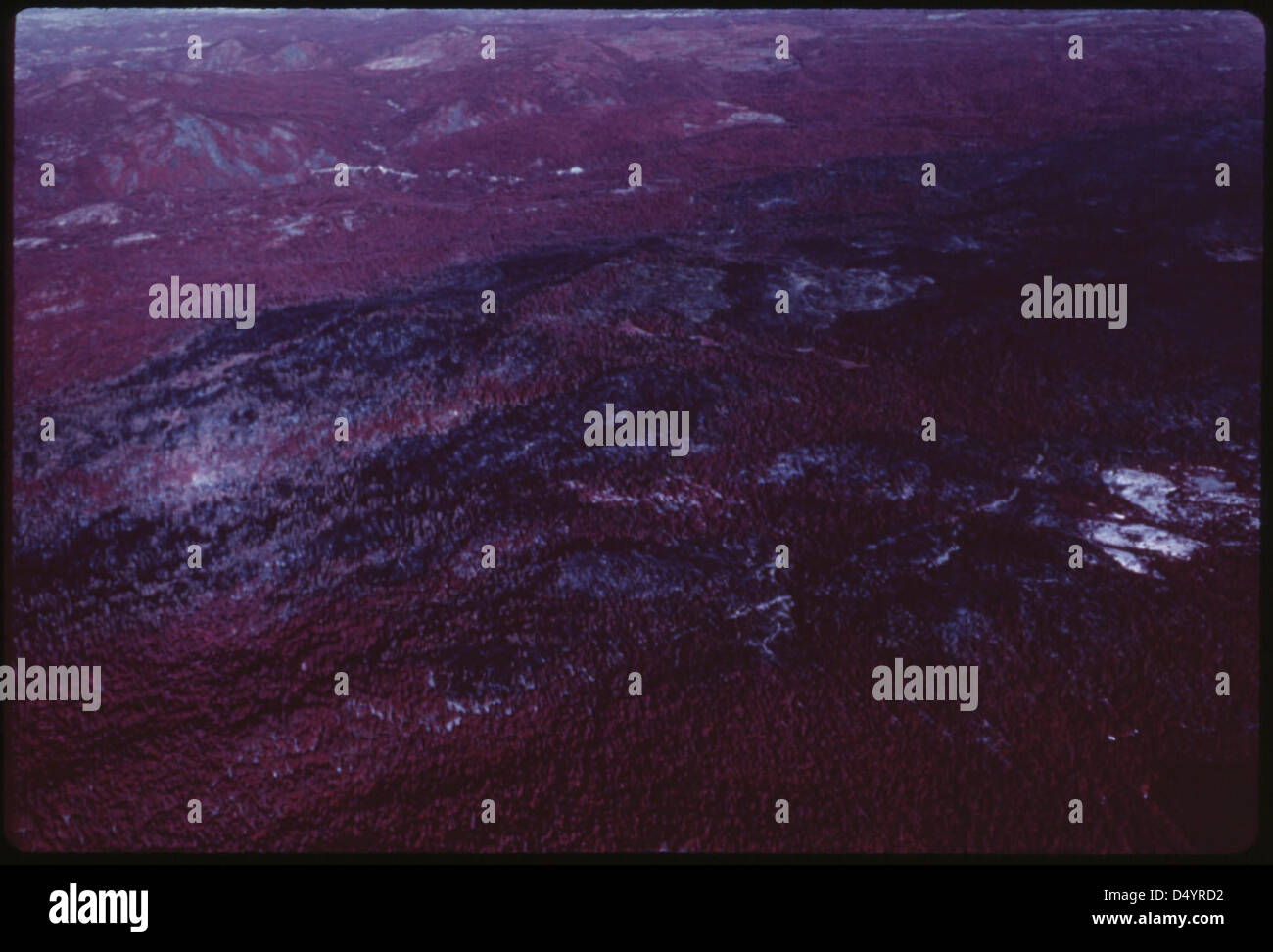 Infra-red aerial of burn area shows extensive damage to vegetation ...
