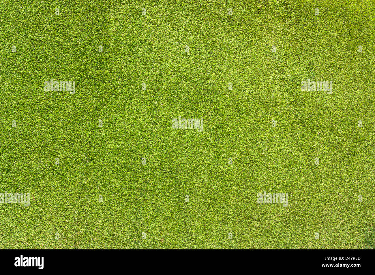 Artificial Grass Wall High Resolution Stock Photography and Images - Alamy