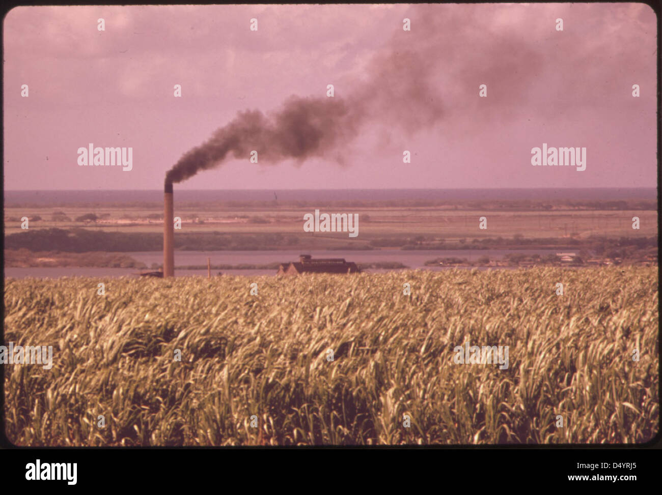 The Oahu Sugar Company mill at Waipahu, Hawaii, is seen emitting black ...