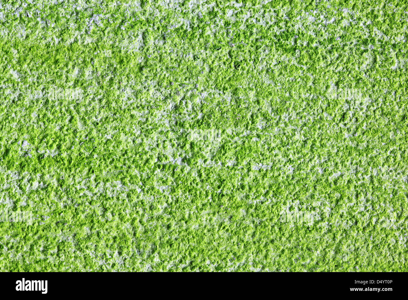 Weed texture hi-res stock photography and images - Alamy