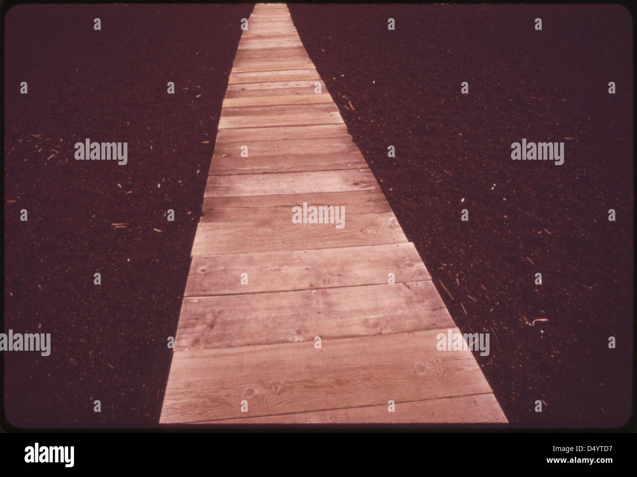 Hawaii volcano devastation trail hi-res stock photography and images ...