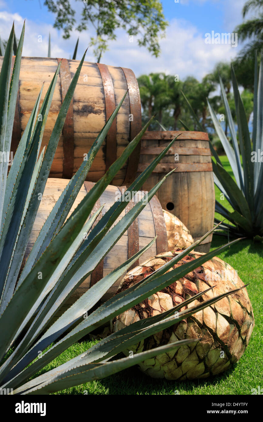 Tequila barrel hi-res stock photography and images - Alamy