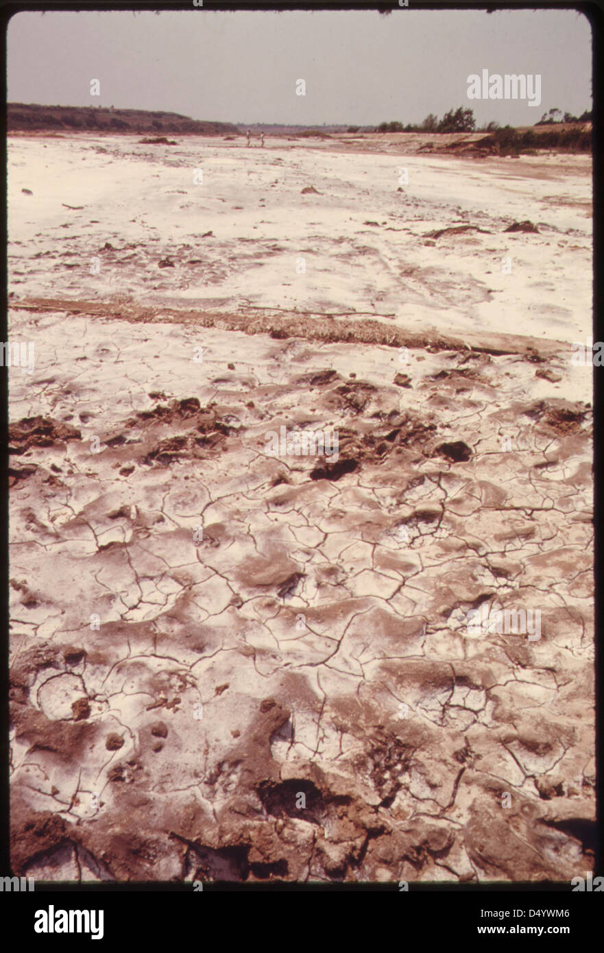 A photograph from May 1975 shows a salty tidal flat at Upper Newport ...