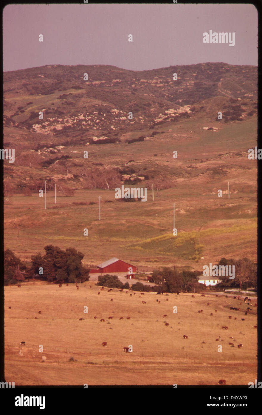 This 1975 photograph captures farmland in the Irvine Ranch area near ...
