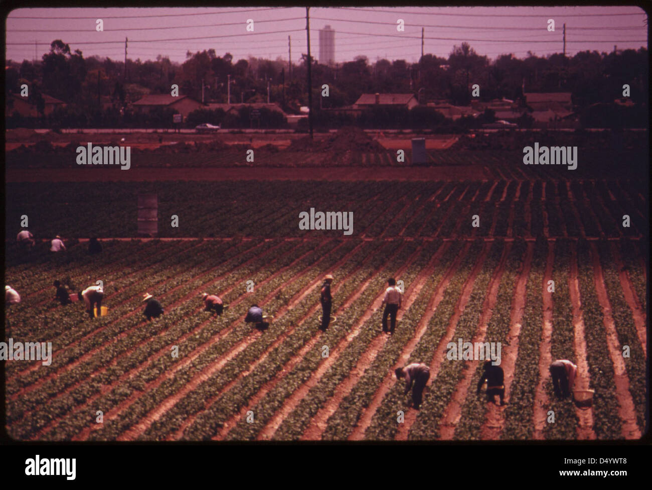 1970s california farm hi-res stock photography and images - Alamy