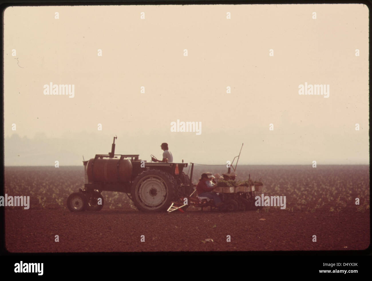A photograph from June 1975 showing a crop being planted on Oxnard ...