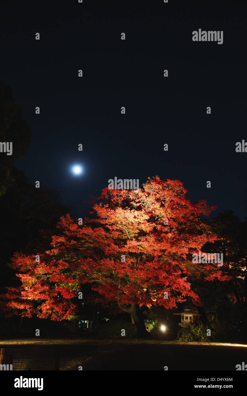 Rikugien garden hi-res stock photography and images - Alamy