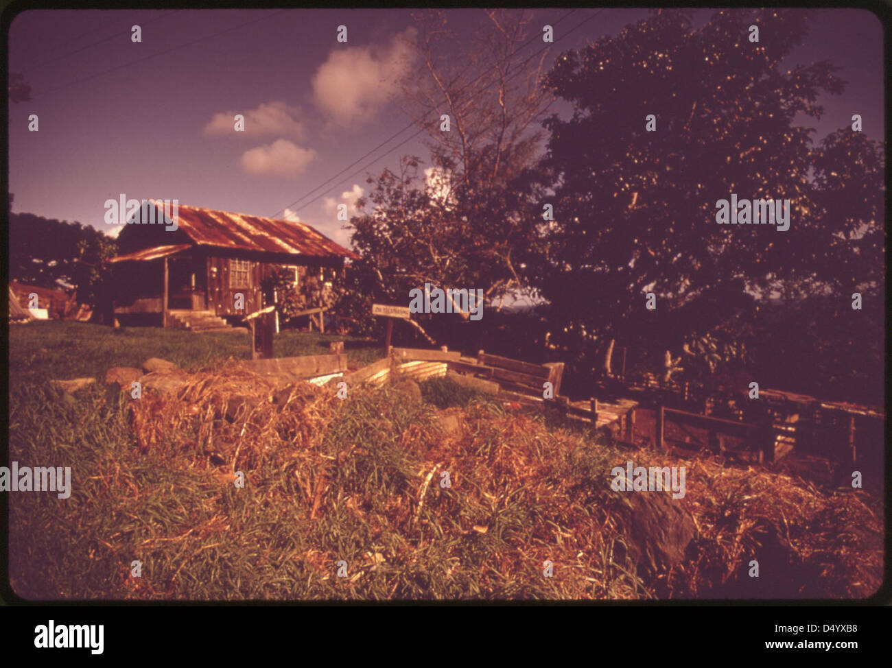 A house in a rural district along Highway 36 near Hana, Hawaii ...