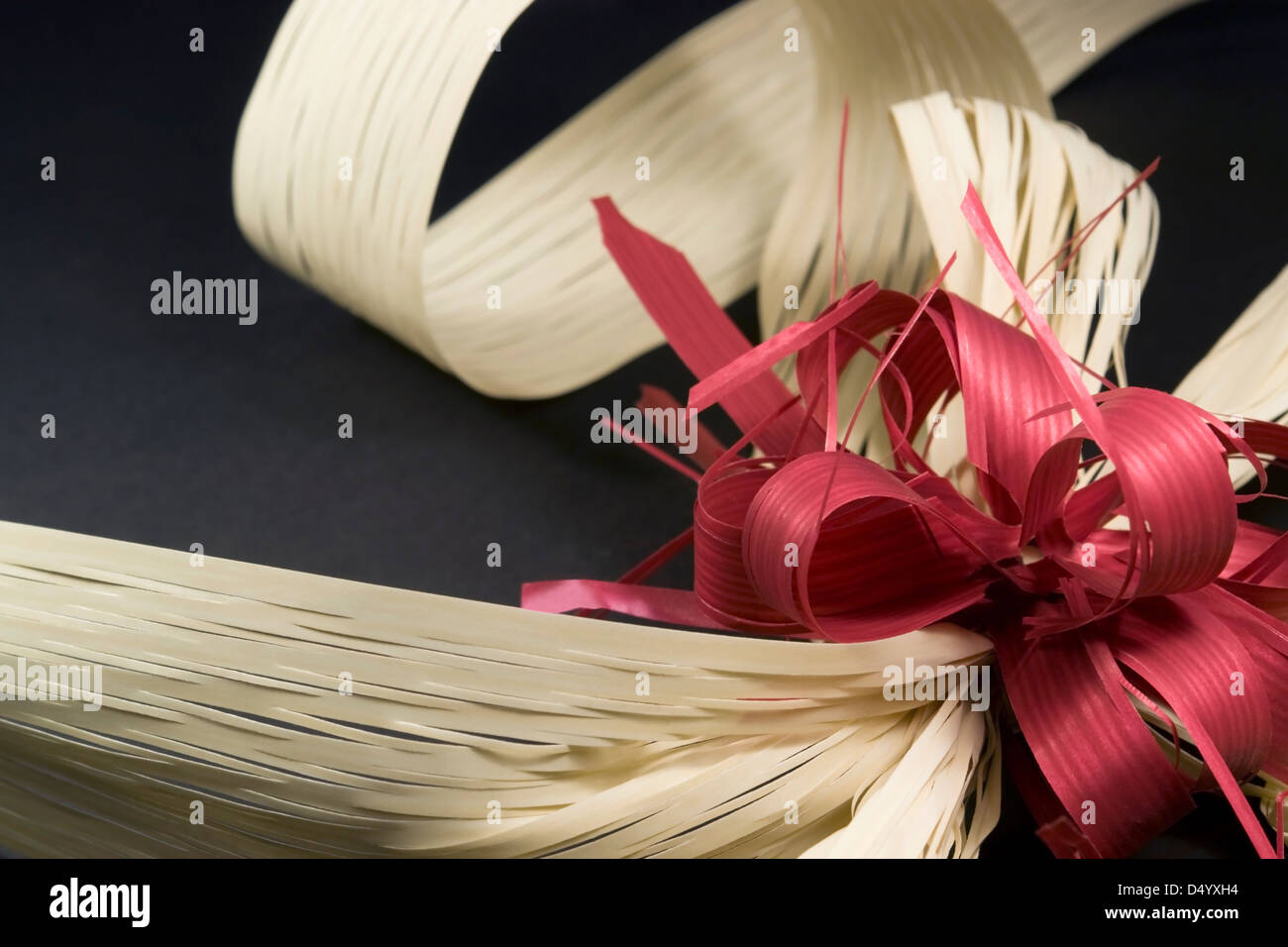 studio photography of a decorative bow in dark back Stock Photo - Alamy
