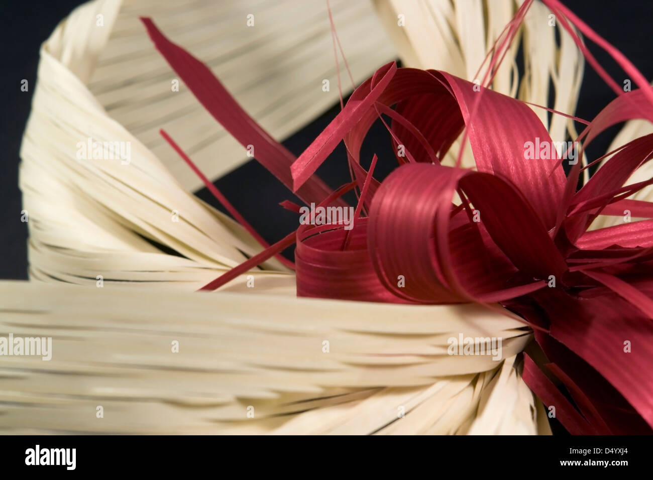 studio photography of a decorative bow in dark back Stock Photo - Alamy