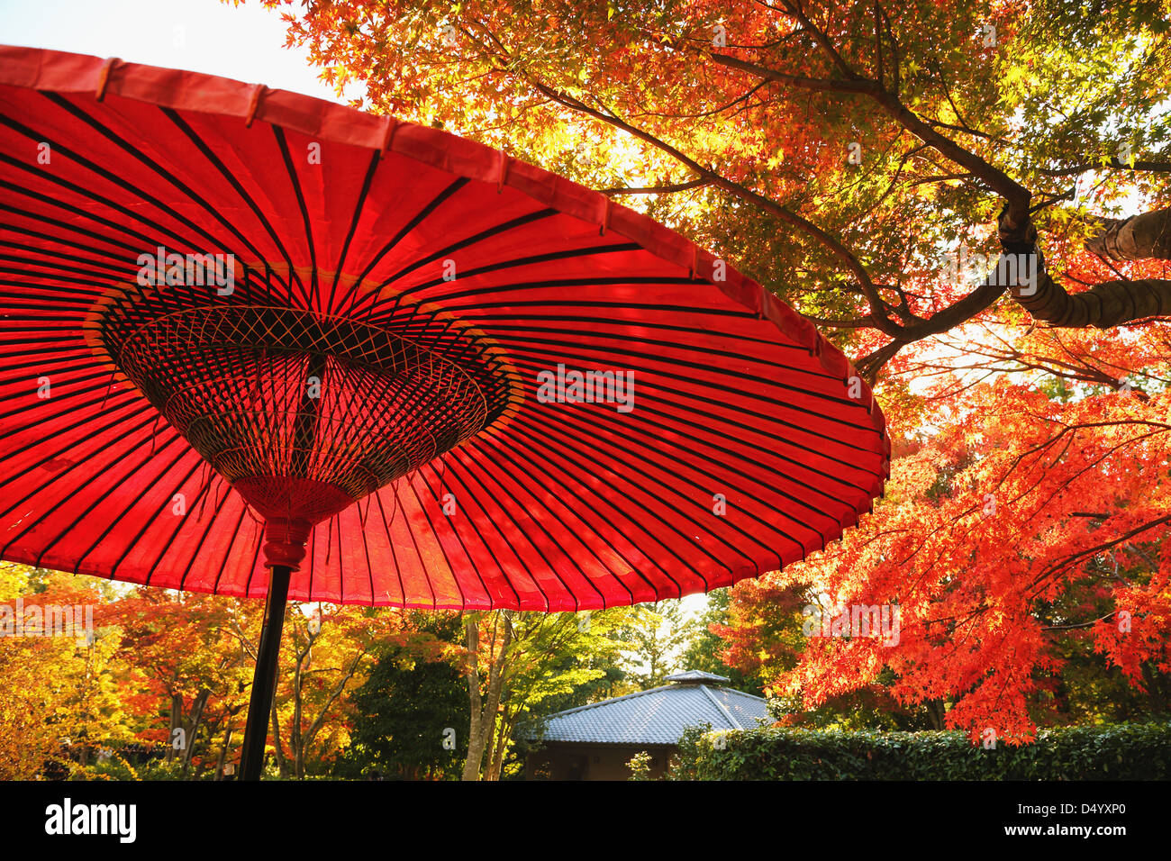 Red garden parasol hi-res stock photography and images - Alamy