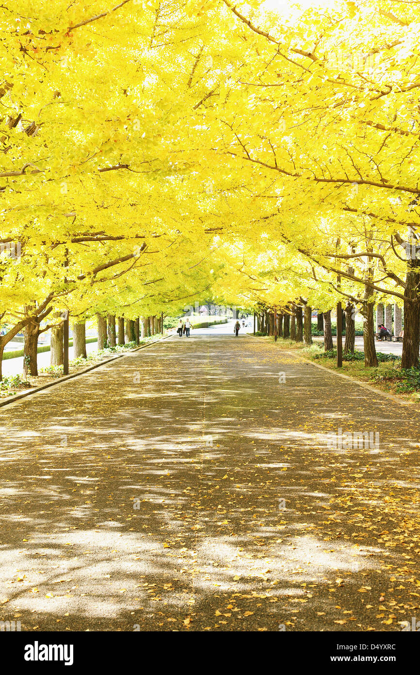 Kinen High Resolution Stock Photography and Images - Alamy