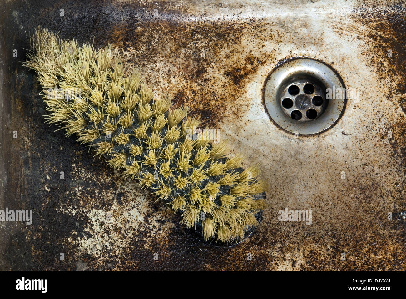 detail shot of a old dirty sink with scrubber inside Stock Photo - Alamy