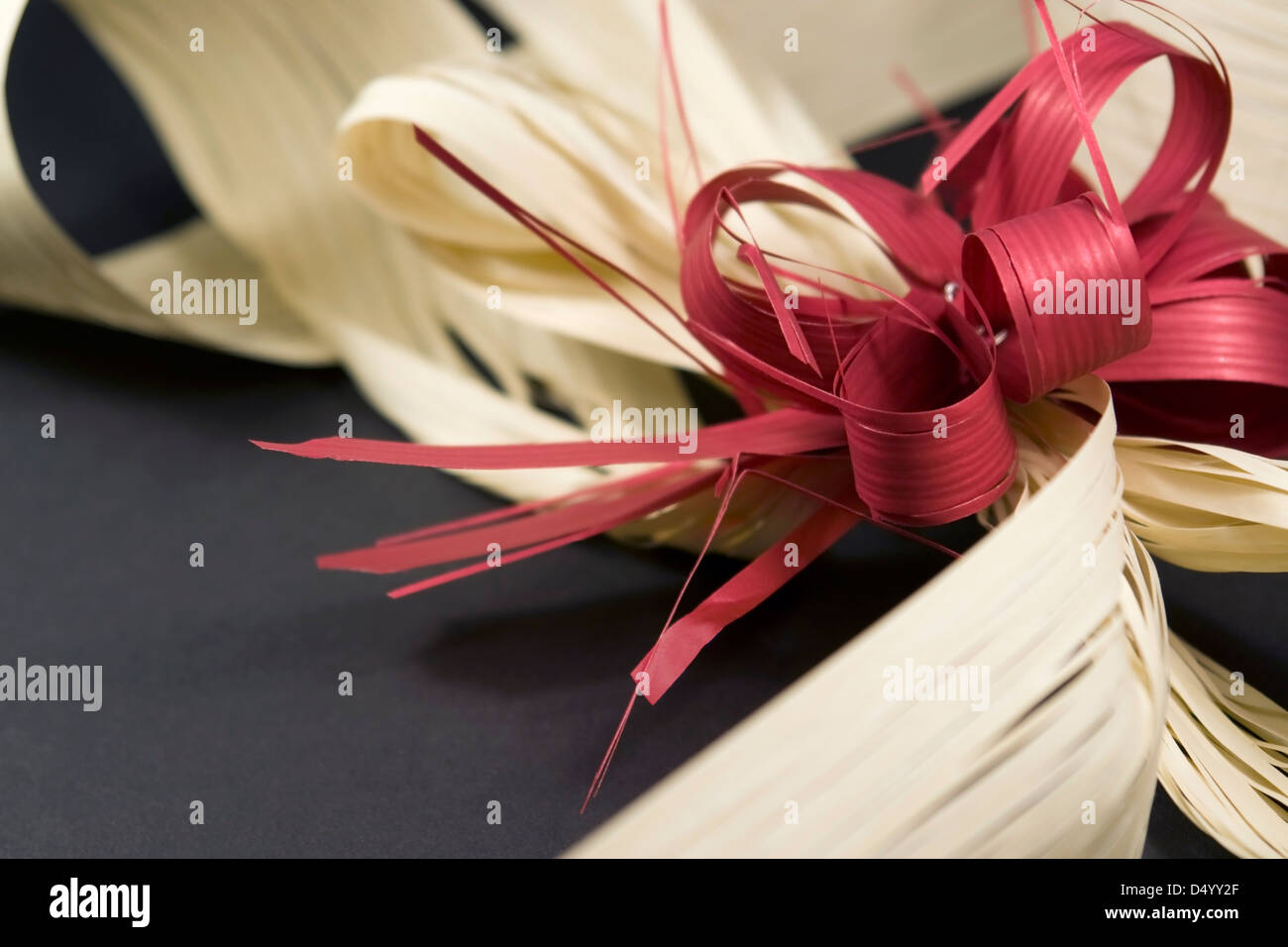 studio photography of a decorative bow in dark back Stock Photo - Alamy