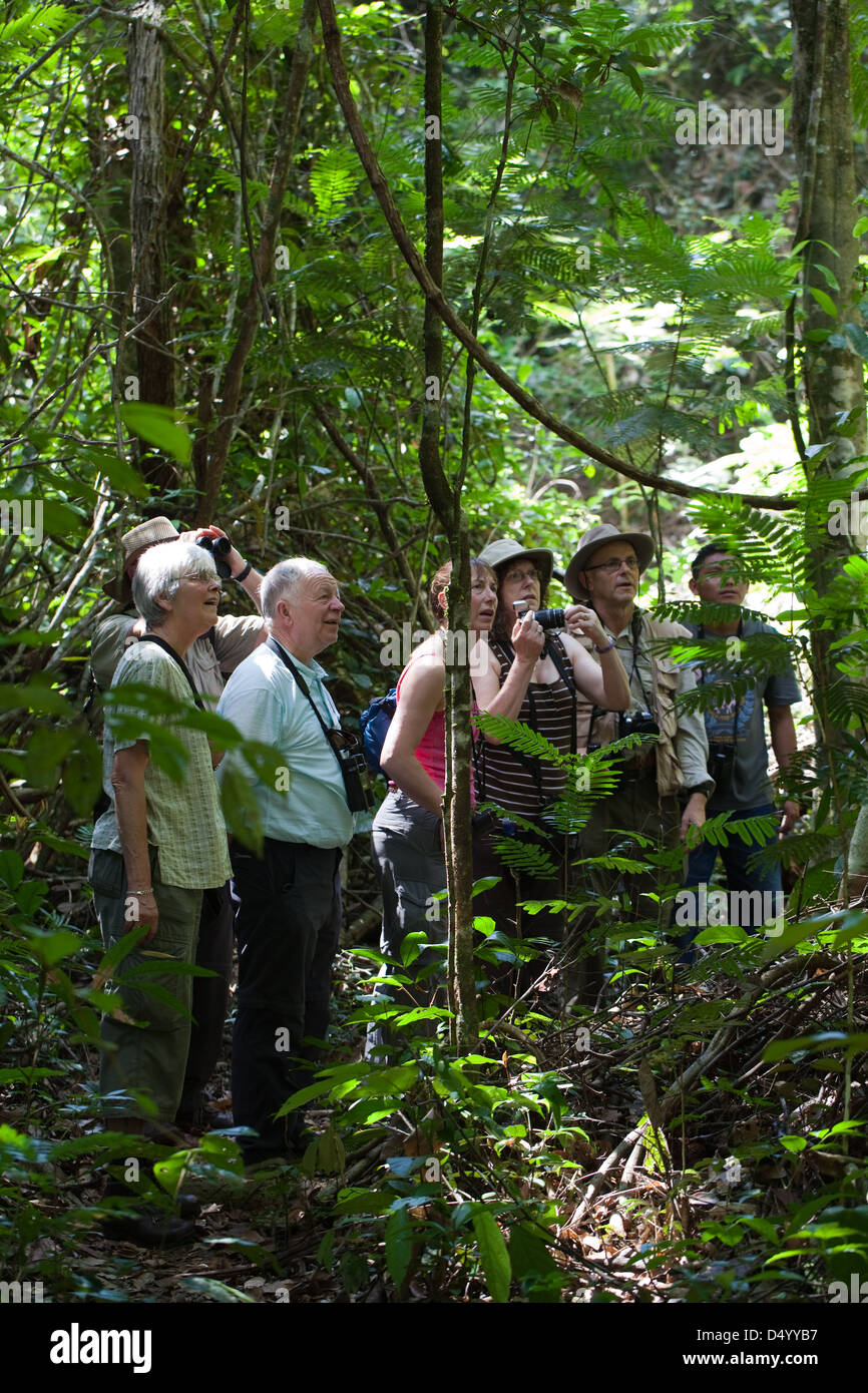 Eco-tourists on a walk along a trail within the Iwokrama Rainforest ...