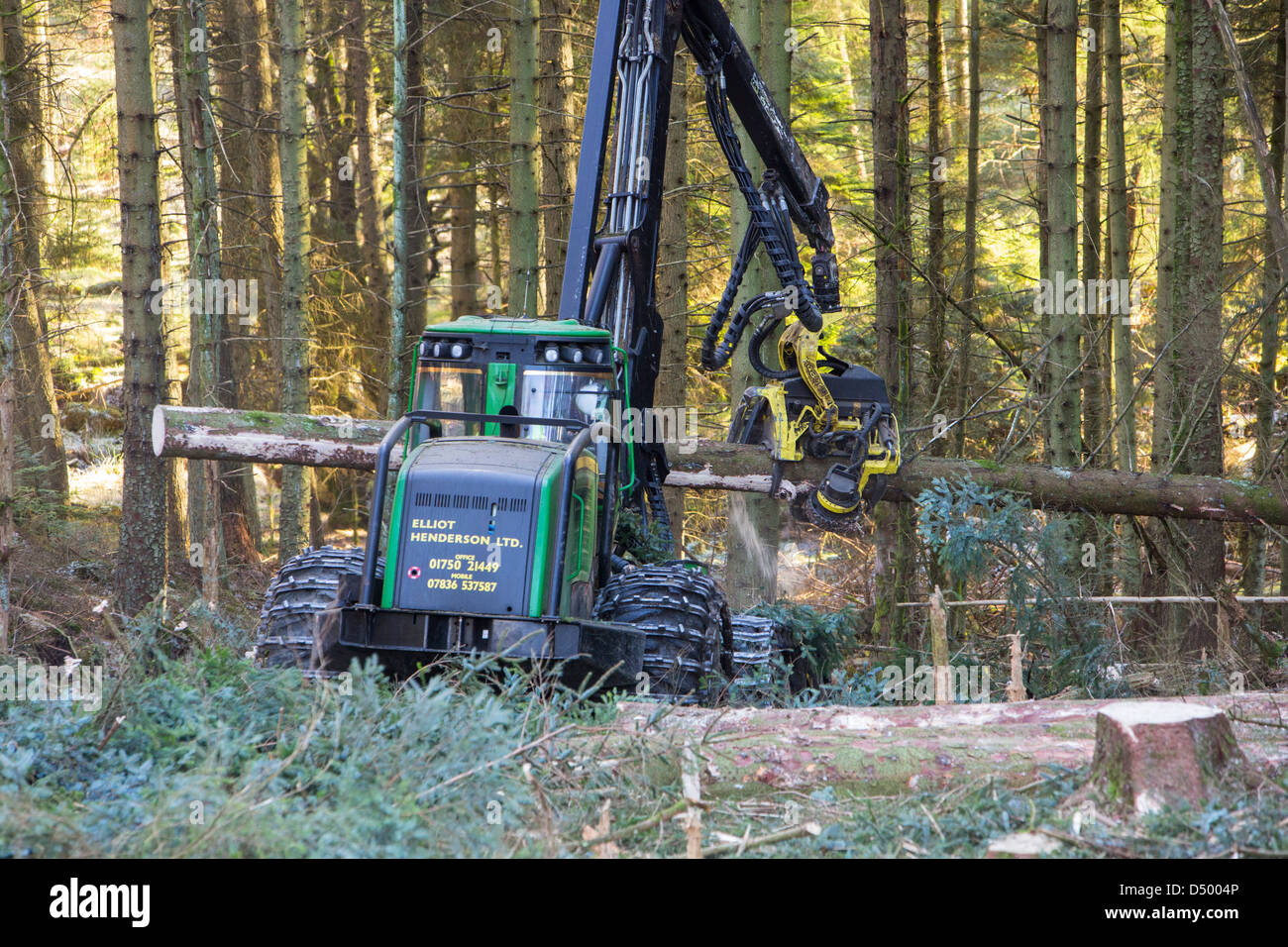 A forwarder harvesting timber in Grizedale Forest, Lake District, UK ...