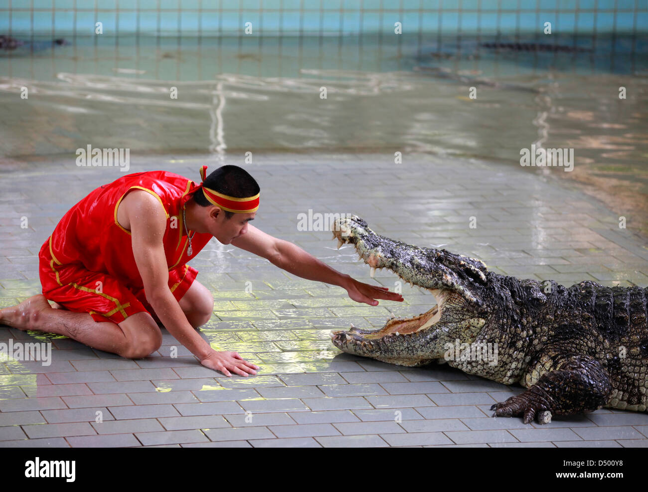 Zoo show performer hi-res stock photography and images - Alamy