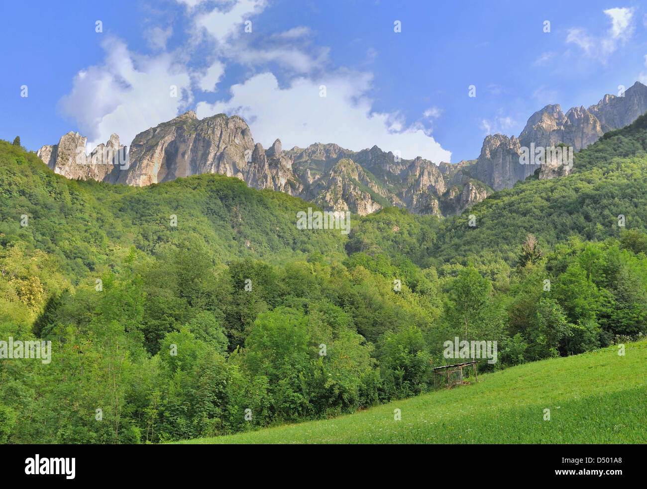 Overlooking forest mountains hi-res stock photography and images - Alamy