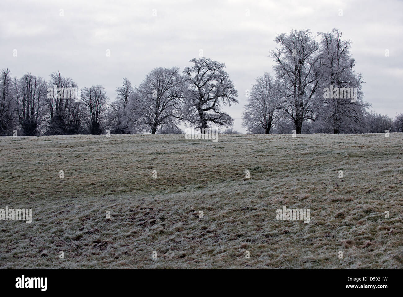 fields in winter frost Stock Photo - Alamy