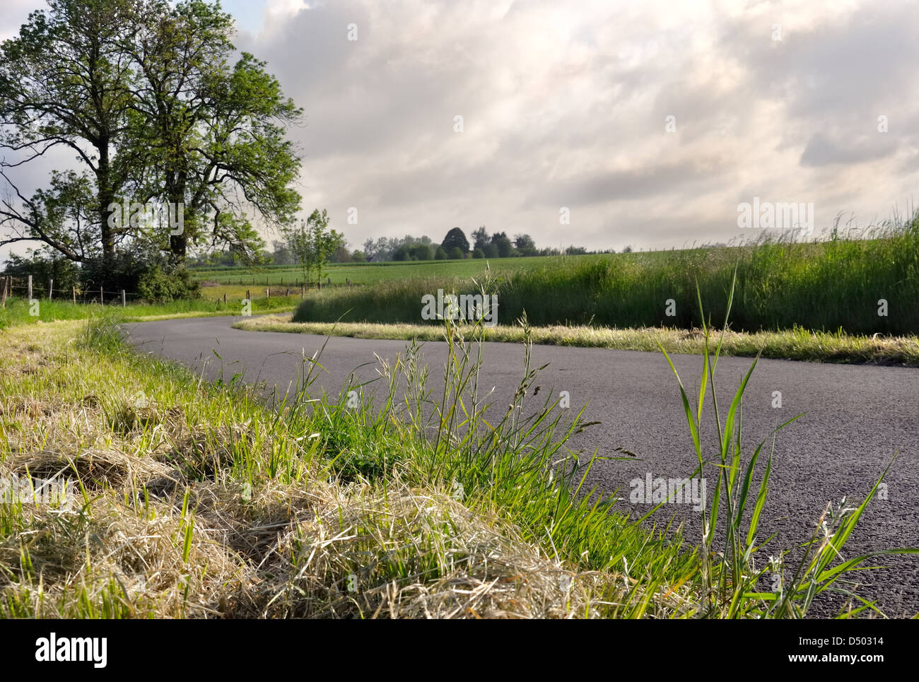 Trees across road hi-res stock photography and images - Alamy