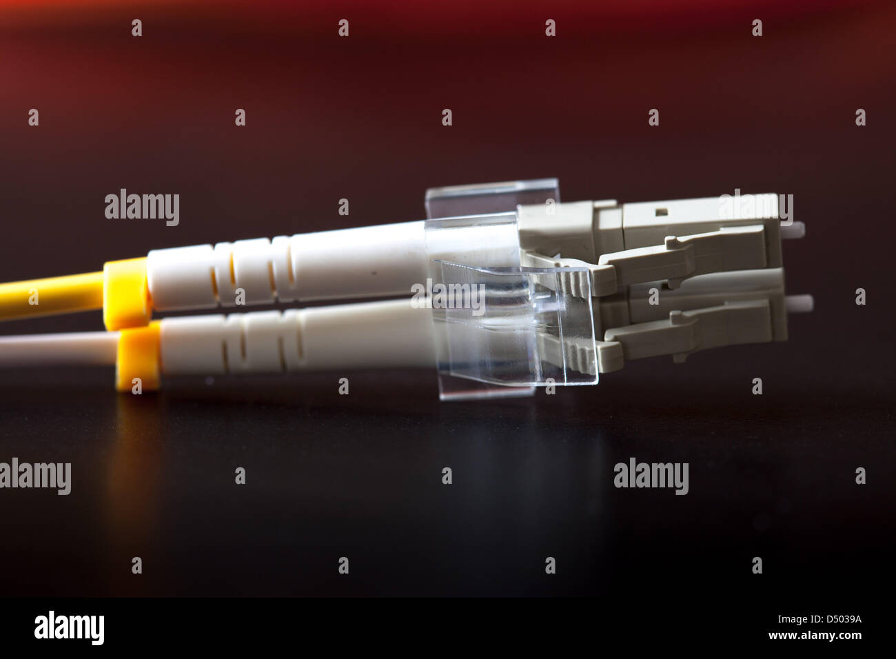 This cable connects local computer networks Stock Photo - Alamy