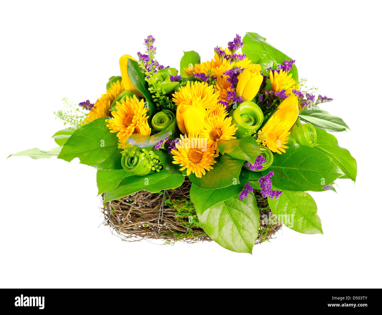 Stillgrass Cut Out Stock Images & Pictures - Alamy