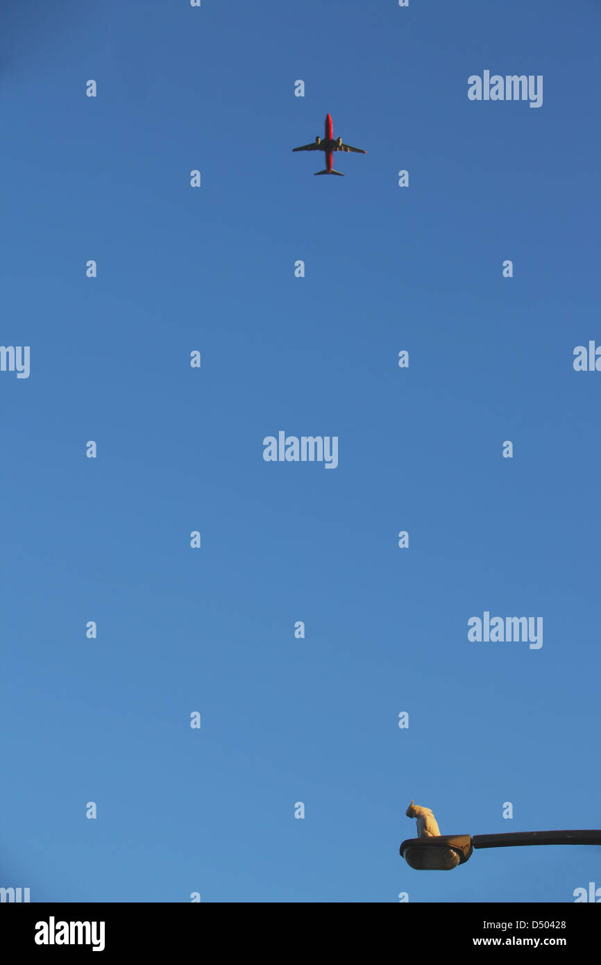 Is it a bird is it a plane hi-res stock photography and images - Alamy