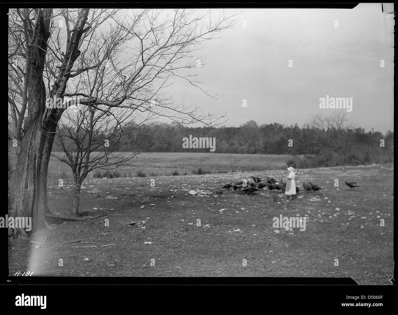 A photograph taken by Lewis Hine in November 1933 showing Mrs. Wallace ...