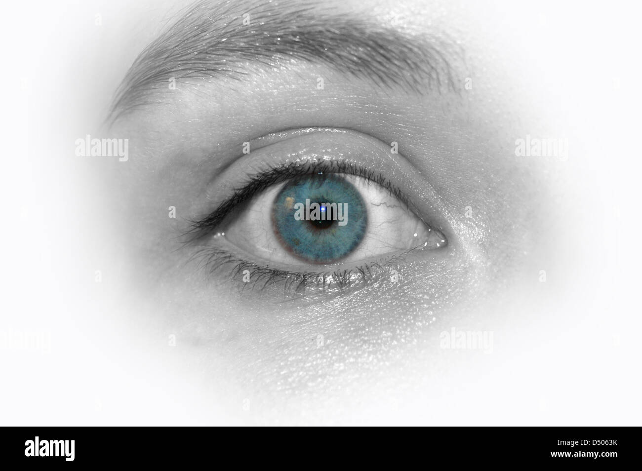 A close up picture of models eye Stock Photo - Alamy