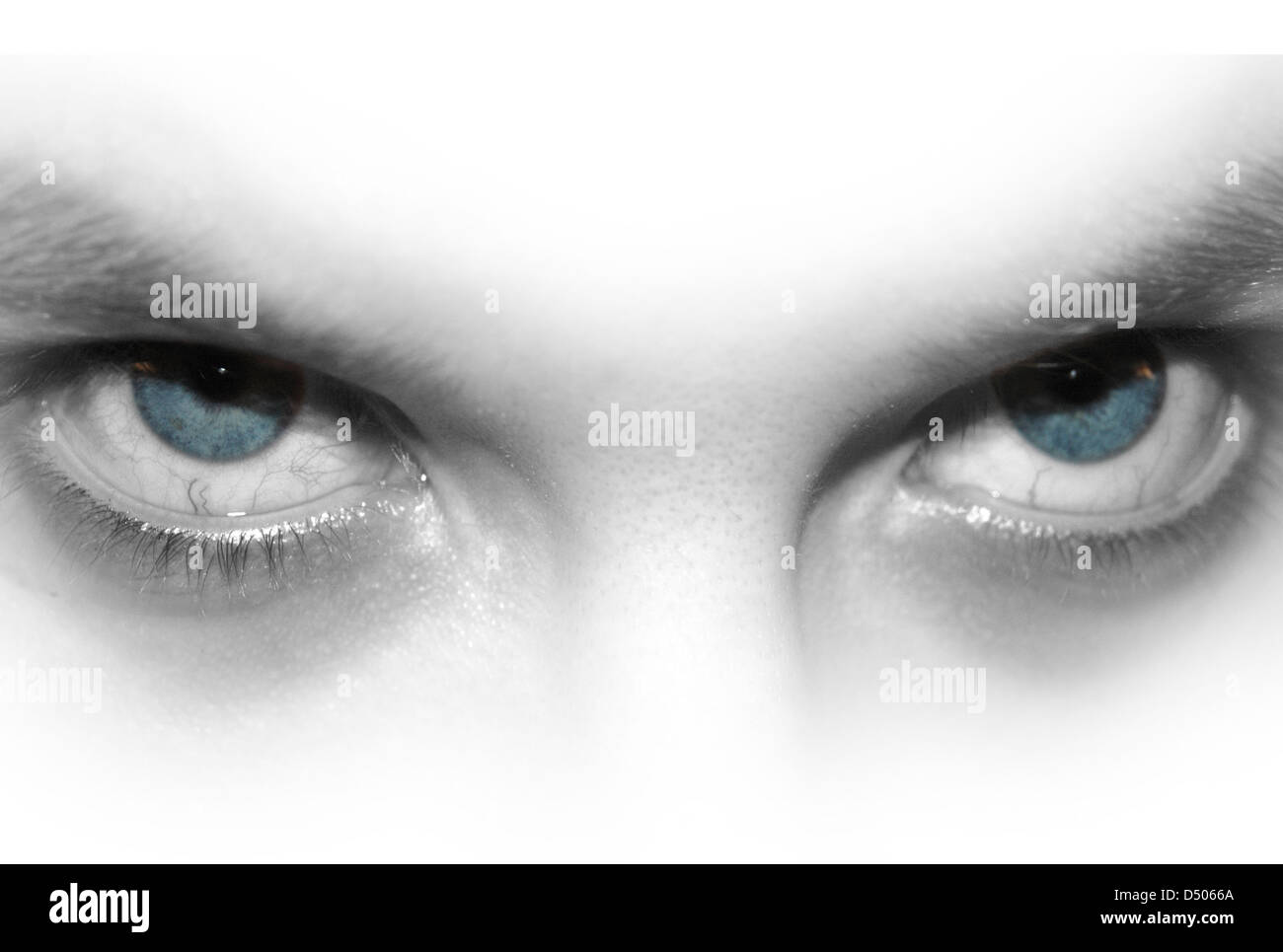 A close up picture of models eyes Stock Photo - Alamy