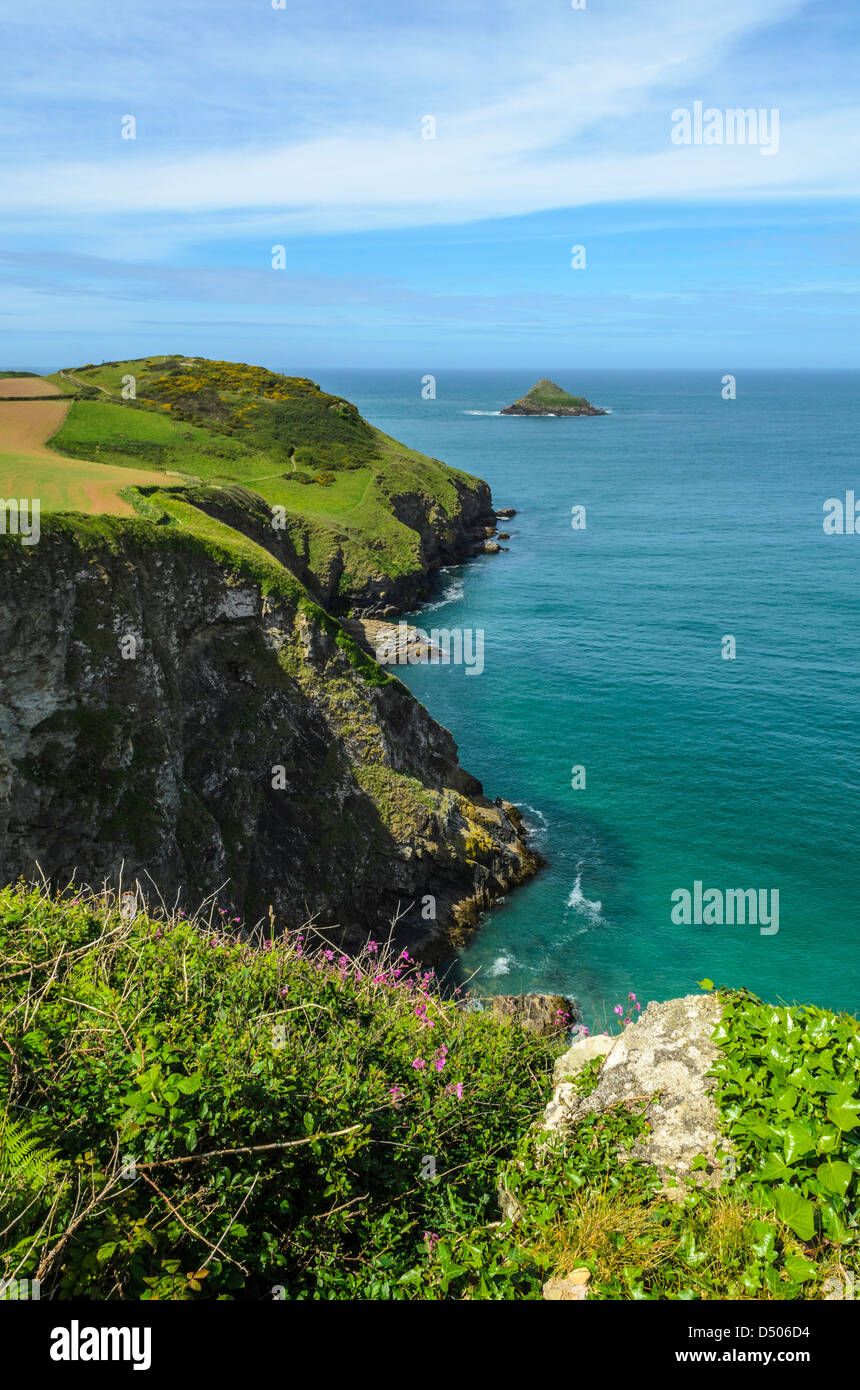 West pentire cornwall hi-res stock photography and images - Alamy