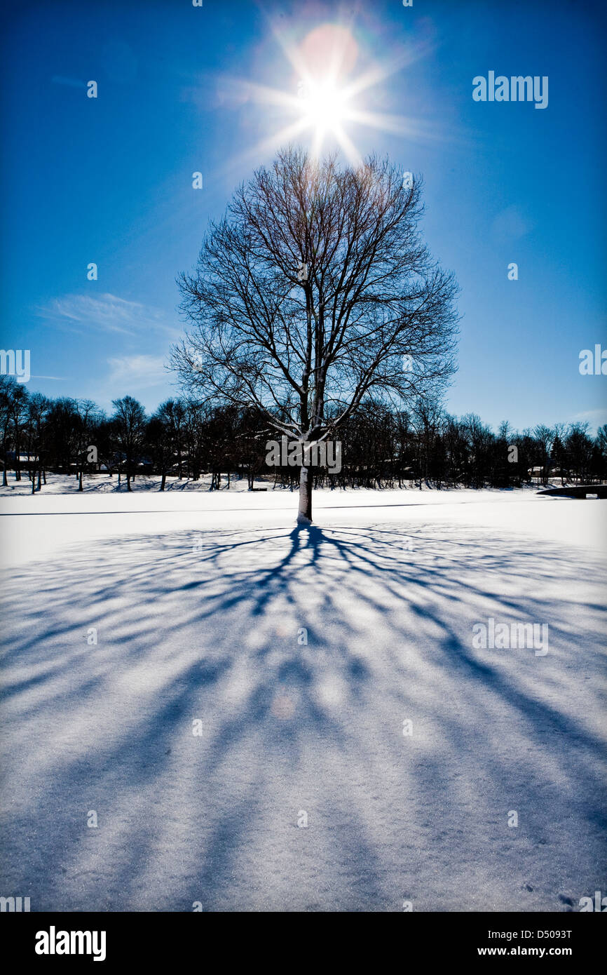 Blue sky sunburst hi-res stock photography and images - Alamy