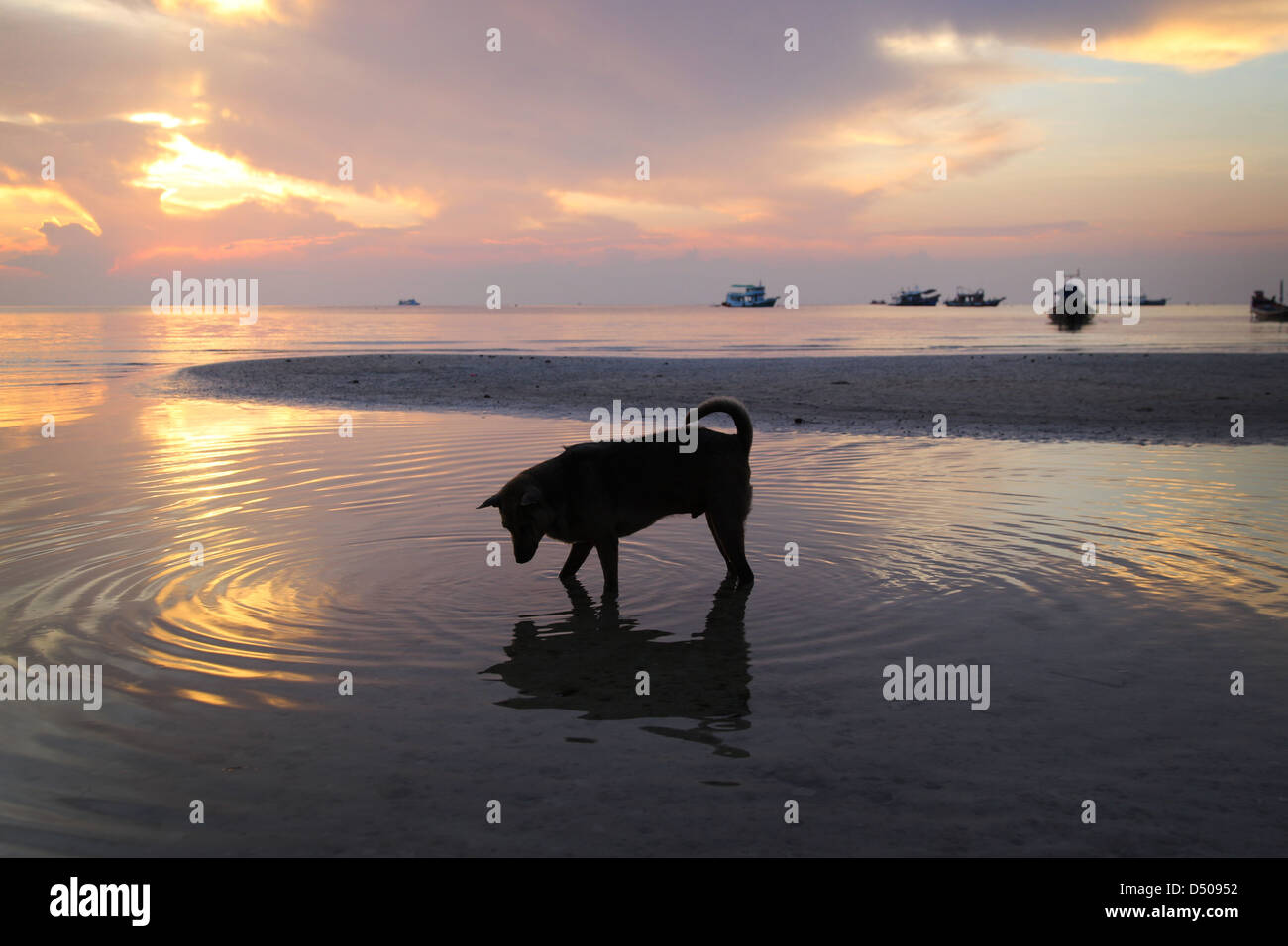 Sunset at Sairee Beach, Koh Tao, Thailand Stock Photo - Alamy