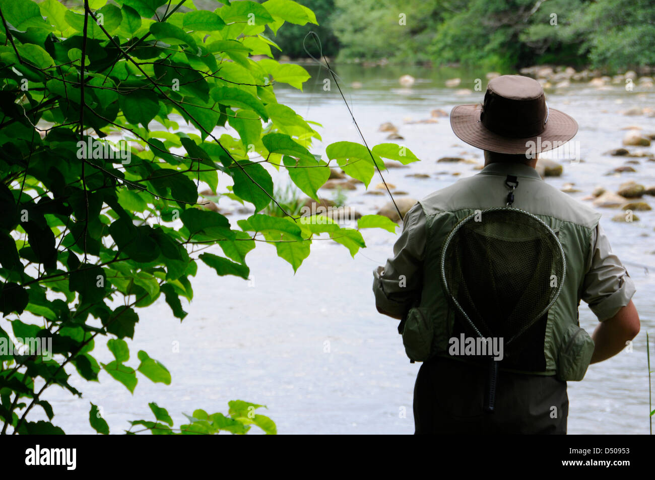 A man fly fishing in a river Stock Photo - Alamy