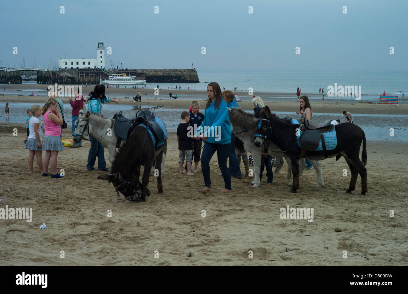 Donkey rides hi-res stock photography and images - Alamy